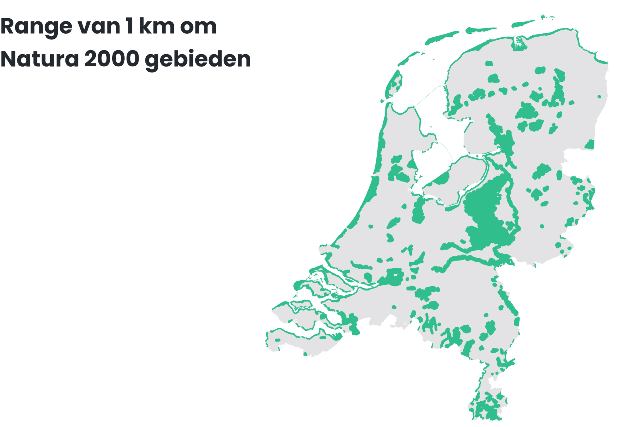 Piekbelasters - Caeli